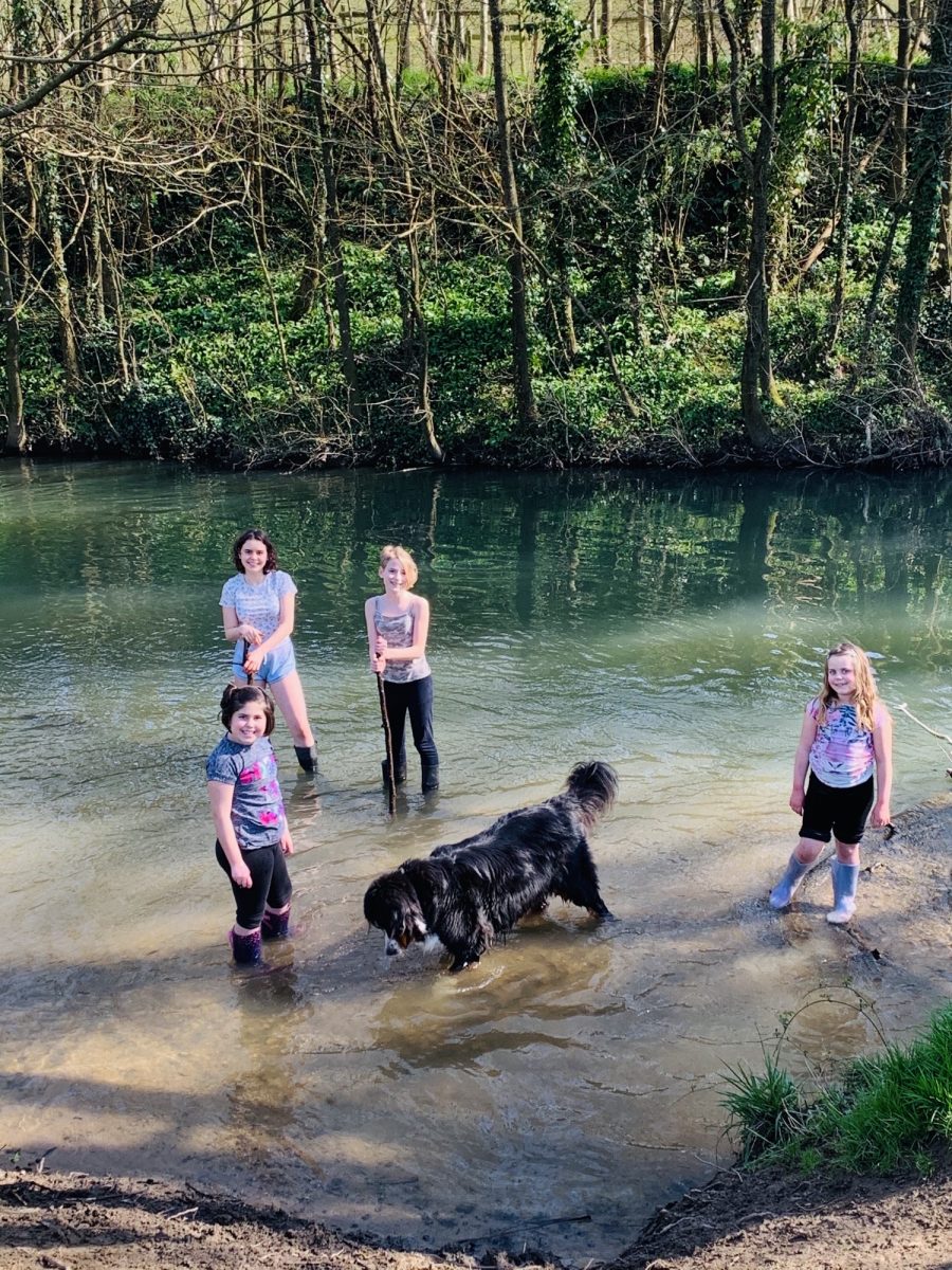 Rode and Norton St Philip School Federation | Image